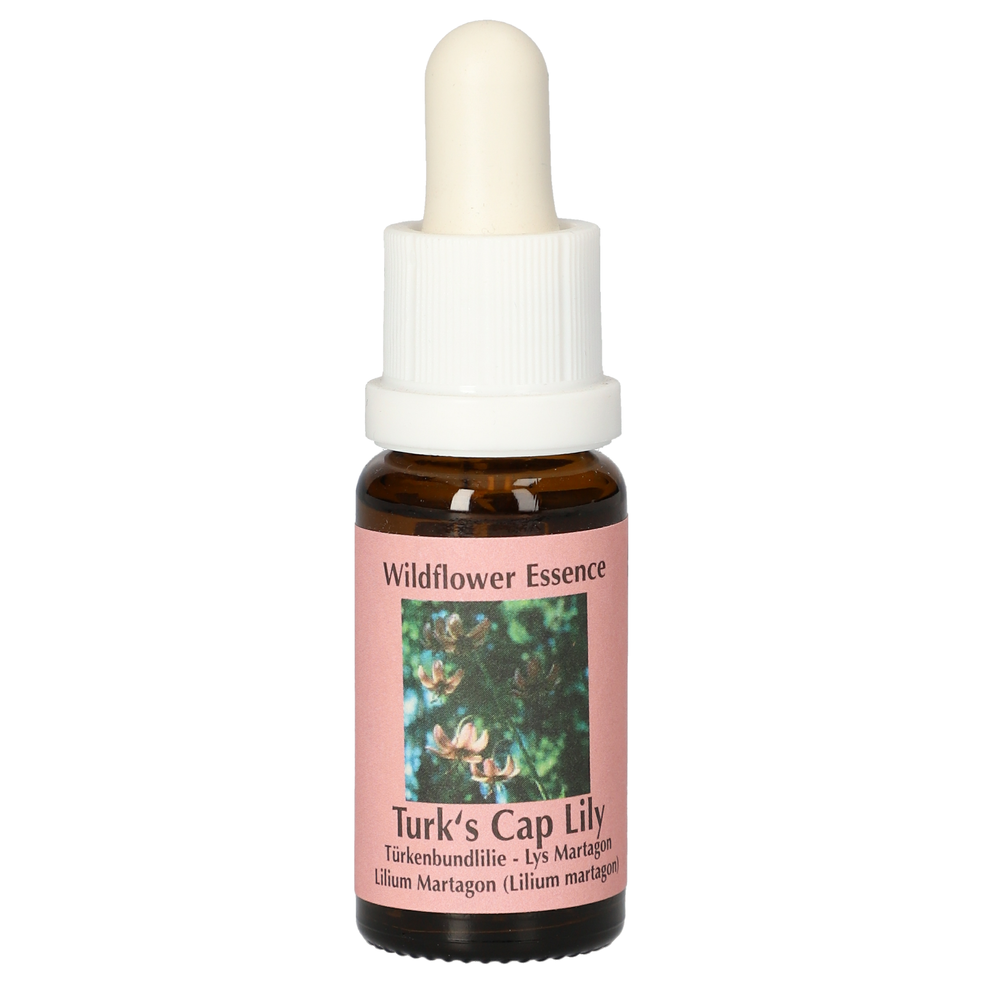 Turk’s Cap Lily Drops | 15 ml | Art10002489