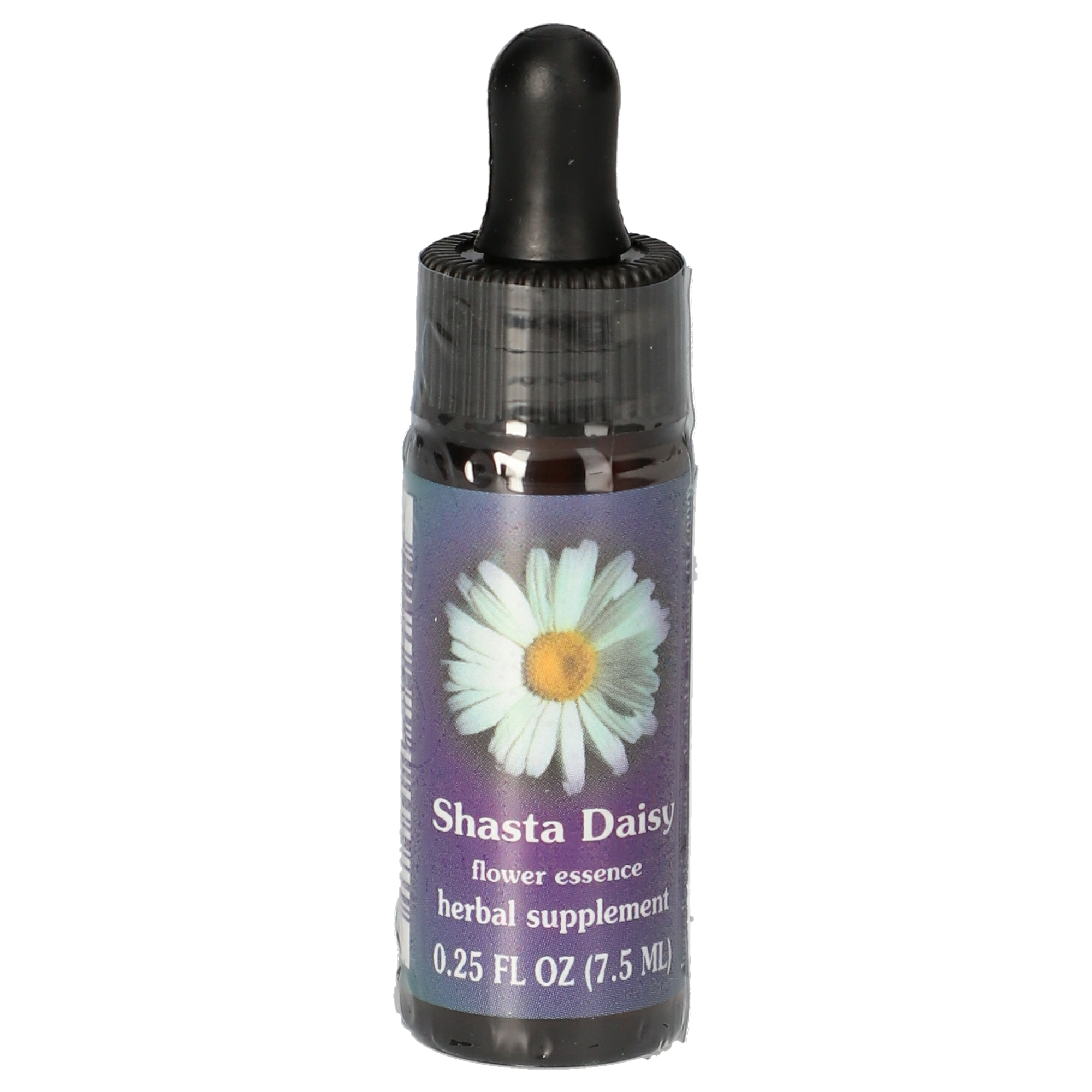 Shasta Daisy / Margerite Tropfen | 7,5 ml | 09172808