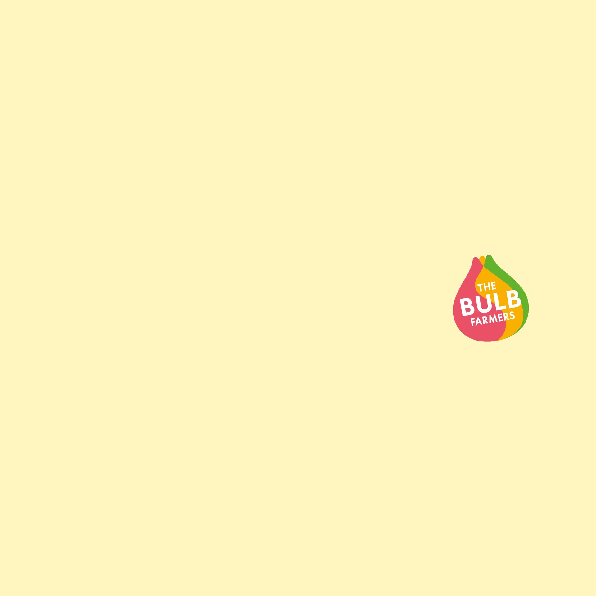 Een overzicht van tulpen soorten | The Bulb Farmers